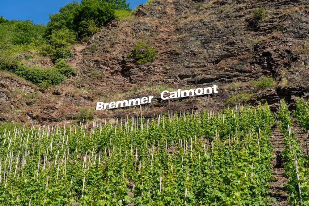 The Single Vineyards You've Likely Never Heard Of | VinoVoss
